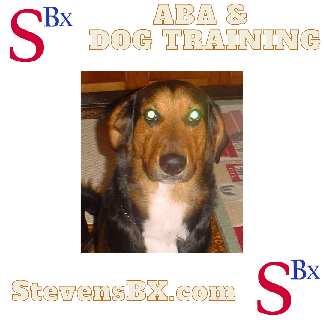 ABA and Dog Training – StevensBx ABA Blog