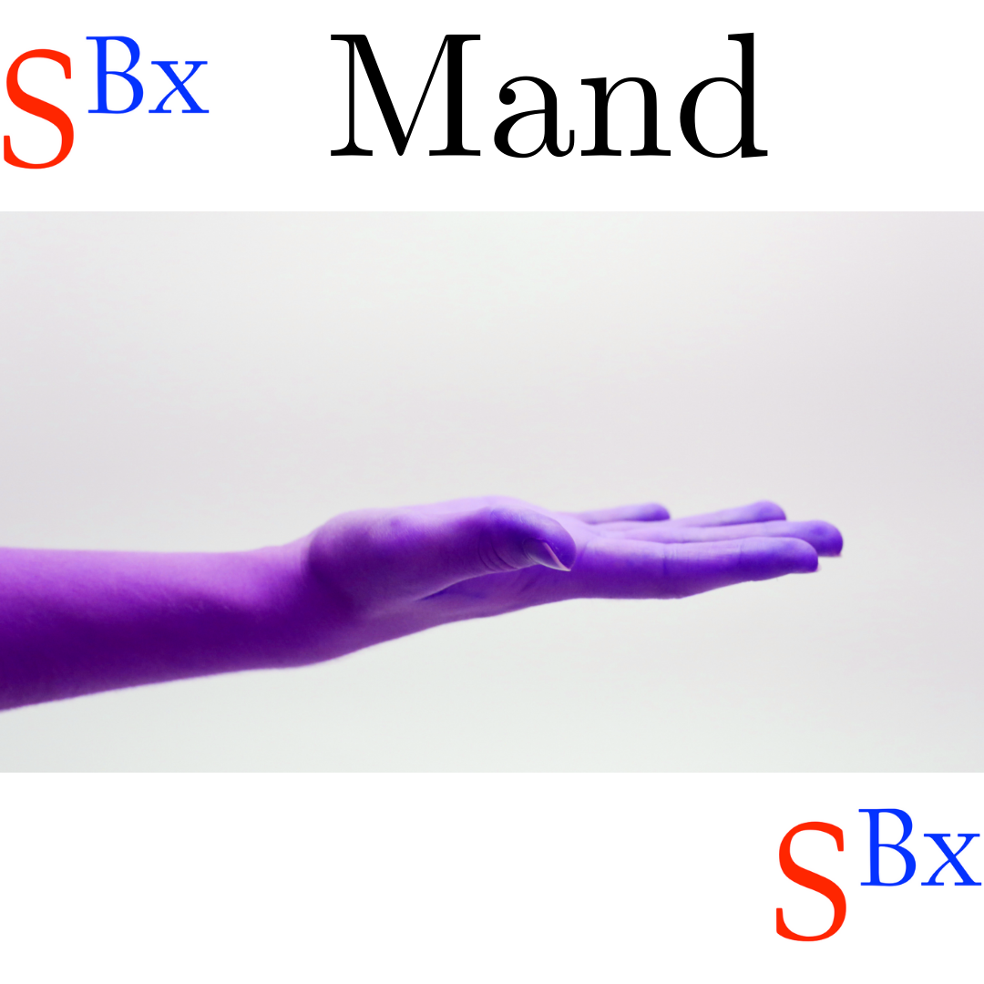 Verbal Operants – StevensBx ABA Blog